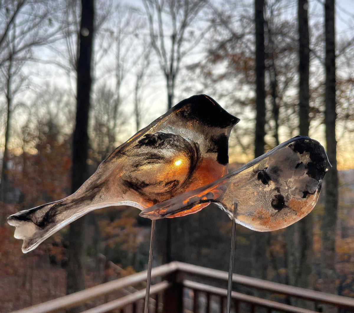 Chickadees